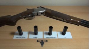 Nexus Mod Manager vs Vortex: The Ultimate Modding Showdown - The Wild ...